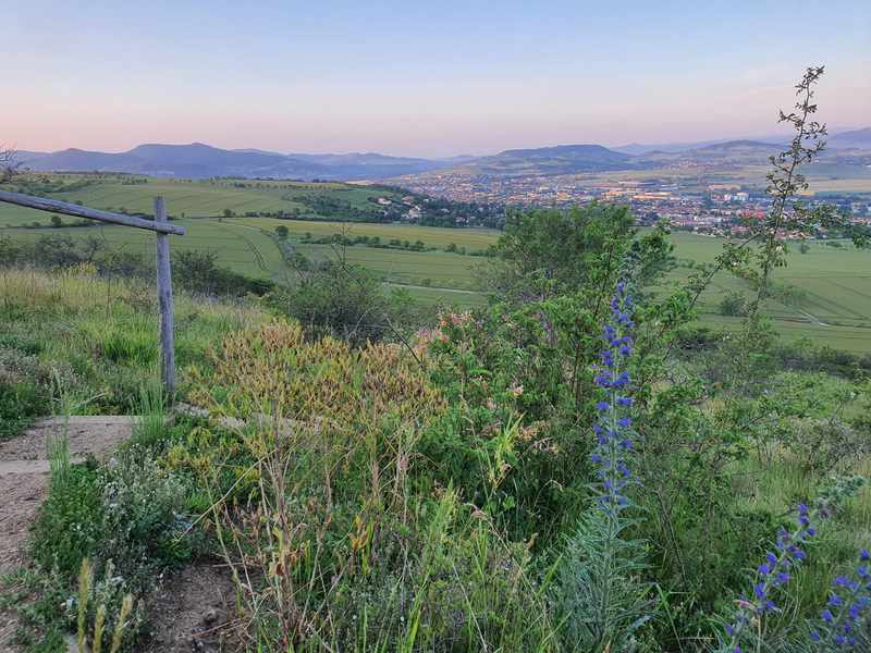 La grande boucle de l'Allier et ses déclinaisions - Wivisites