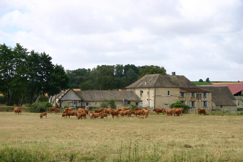 Circuit découverte Saint-Lubin-de-la-Haye - Wivisites