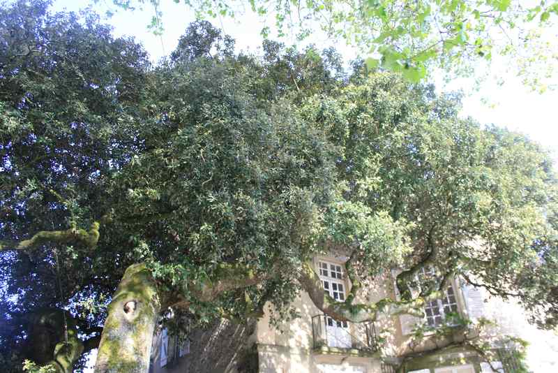 LAVAL, le jardin de la Perrine, un lieu chargé d'histoire(s) - Wivisites