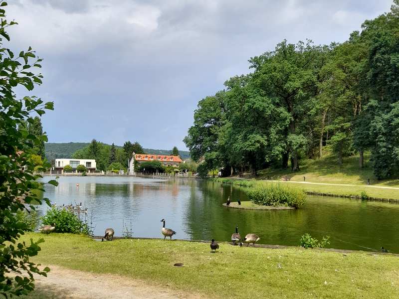 Parc du lac Beauséjour - Wivisites