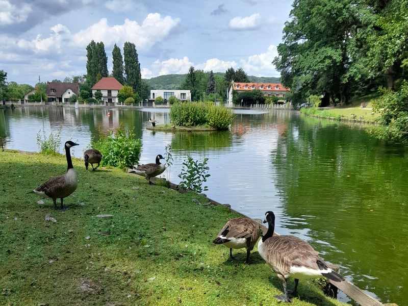 Parc du lac Beauséjour - Wivisites