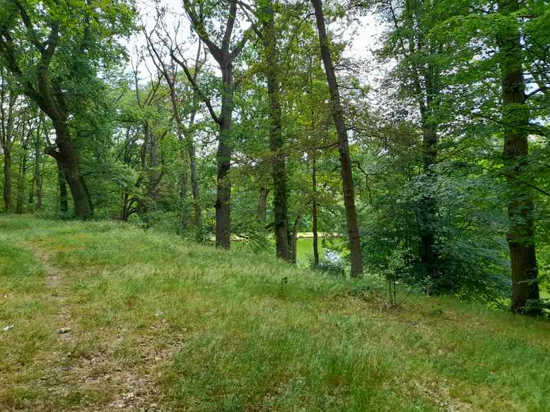 Parc du lac Beauséjour - Wivisites