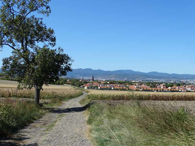 Boucle du plan d'eau de Cournon aux puys de Bane et Anzelle - Wivisites