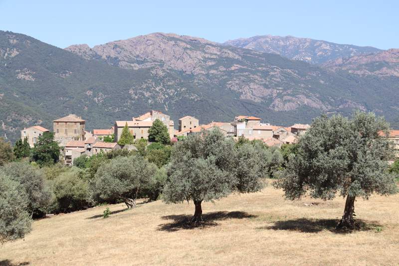 Sentier du patrimoine de Sainte Lucie de Tallano - Wivisites