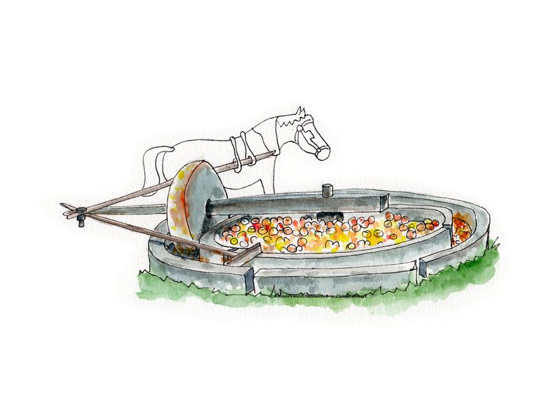 Brie-Comte-Robert Moulin à pommes - Wivisites