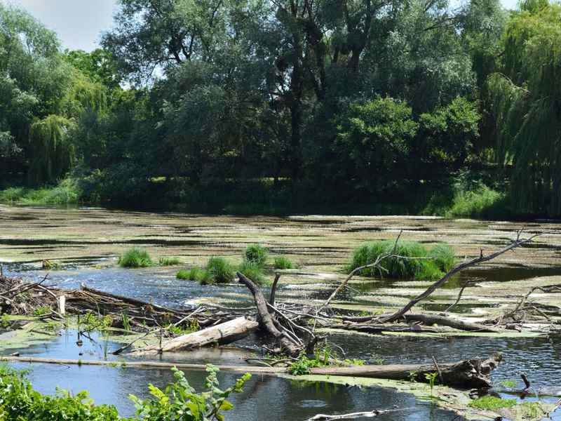 Balade historique de Saint Gaultier - Wivisites