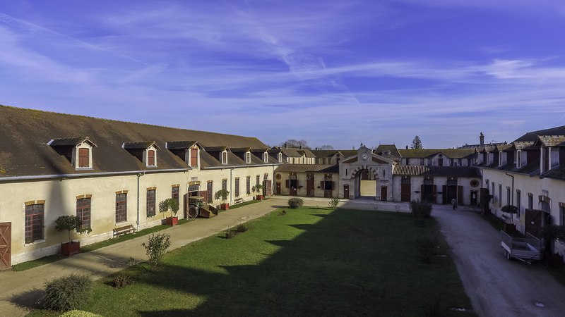 Montier-en-Der, La Porte du Der au fil des rues - Wivisites