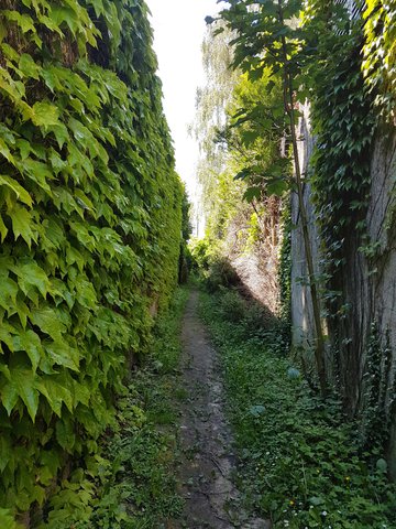 Parcours dans Bazoches-sur-Guyonne sur les pas des tournages de films ...