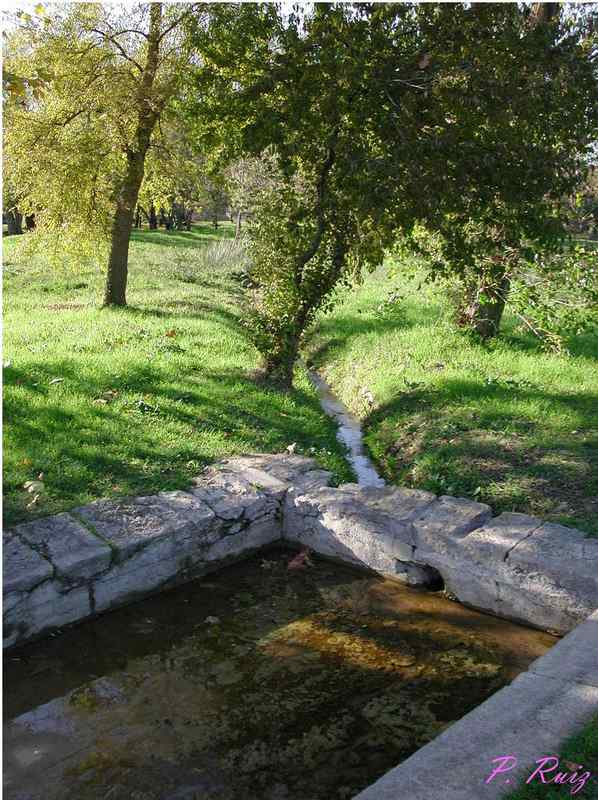Parcours Rocbaron - Wivisites